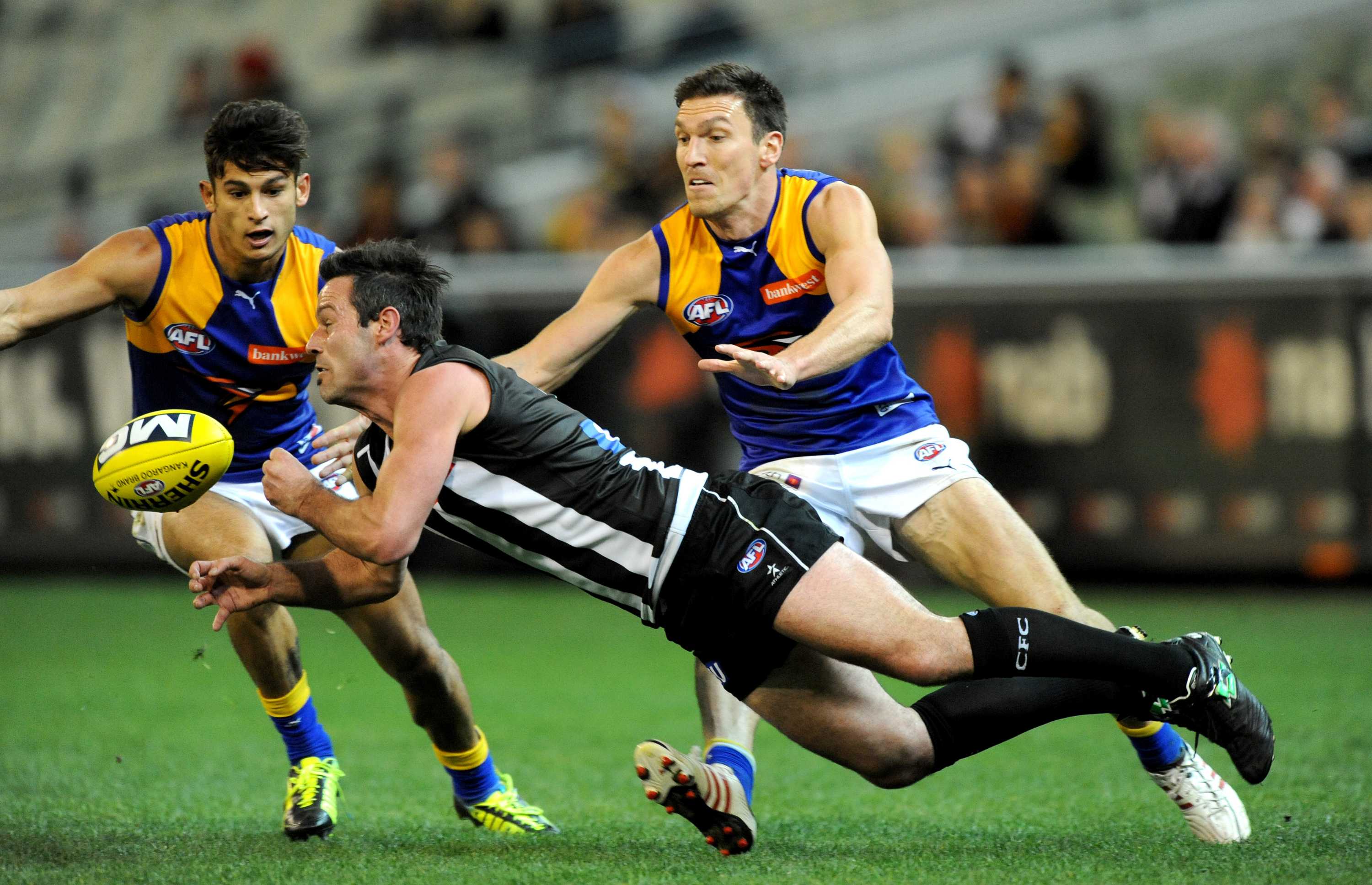Collingwood Magpies make sweeping changes to roster after finals loss ...