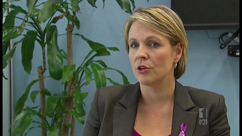 Government to hunt down disaster relief rorters - ABC News