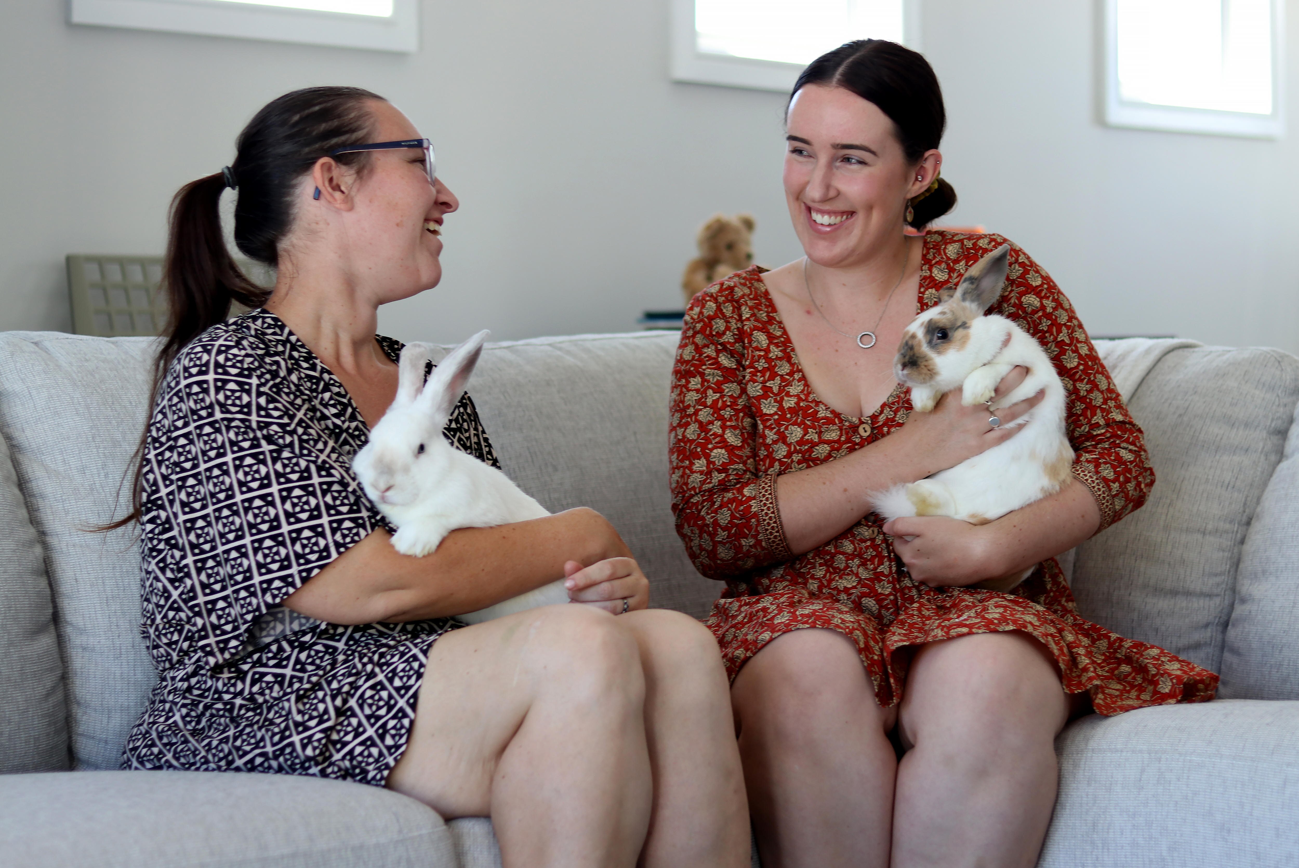South coast Rabbit Sanctuary calling for more rabbit foster carers as ...