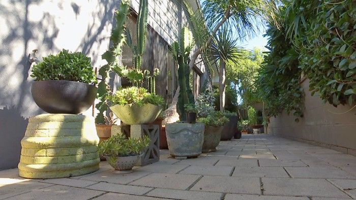 Come in Spinner - DIY Soil Sieve - Gardening Australia