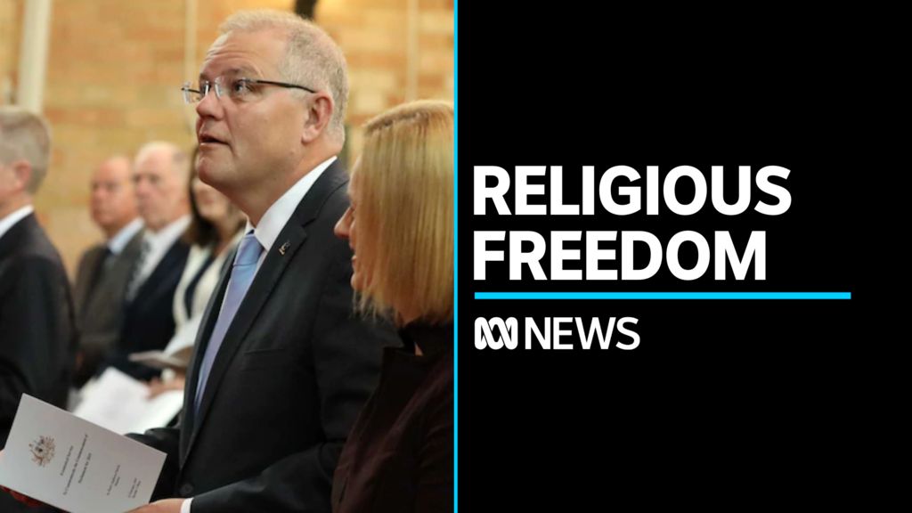 Liberal National Party of Queensland - Topic - ABC News