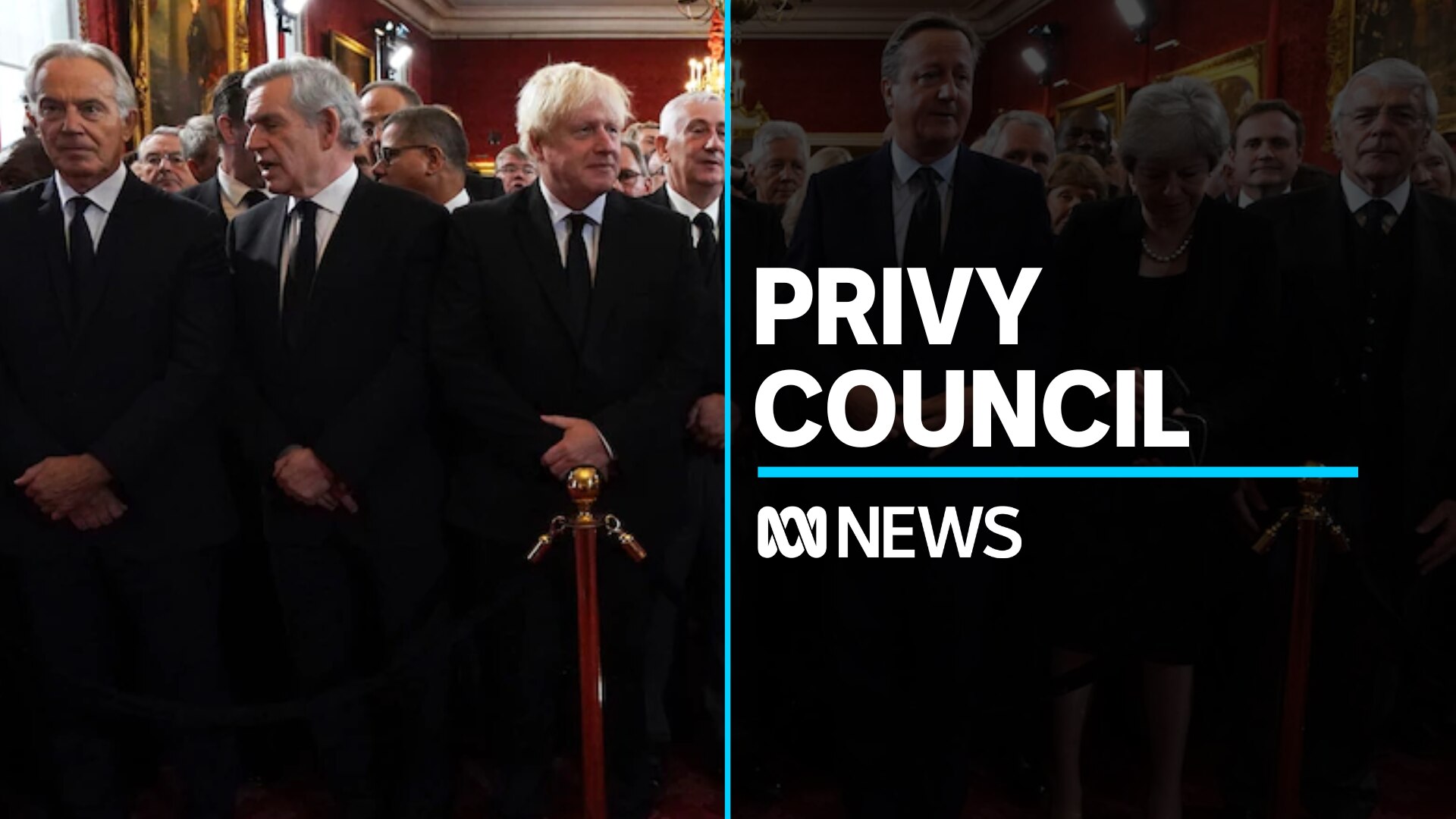 Constitutional expert explains significance of Privy Council meeting ...