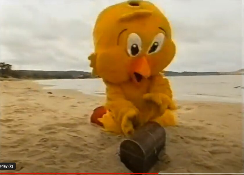 Tasmania's Chickenfeed discount chain remembered fondly a decade after ...