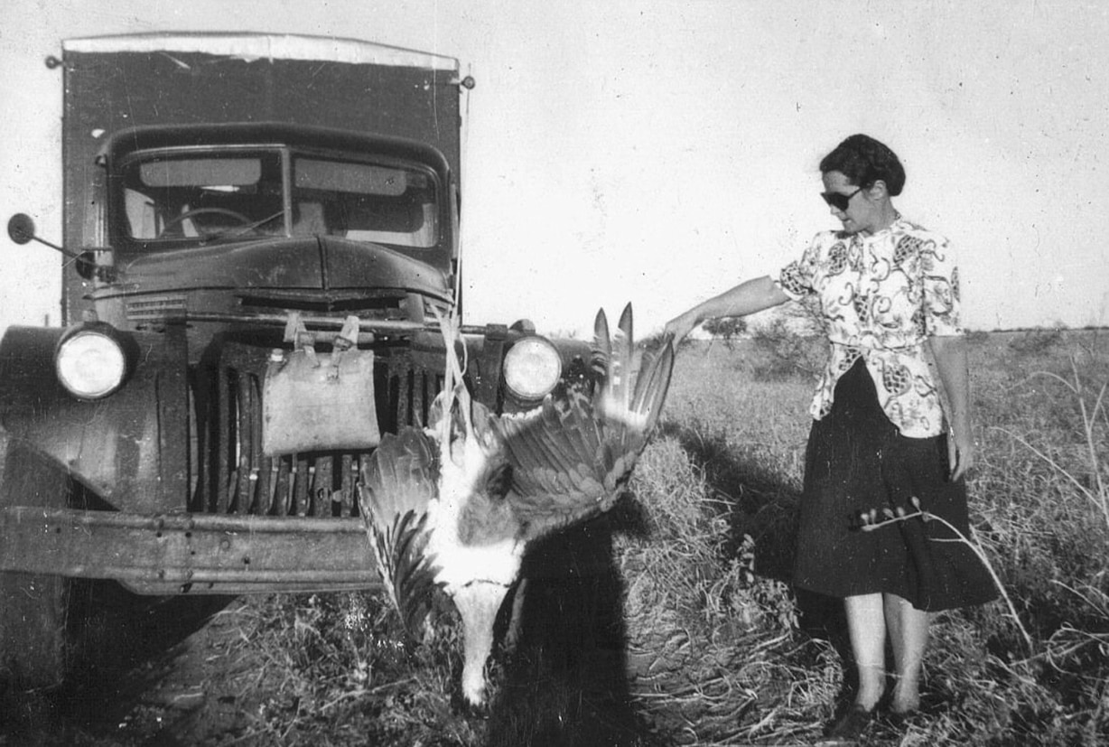 Apollo & Thelma - ABC listen