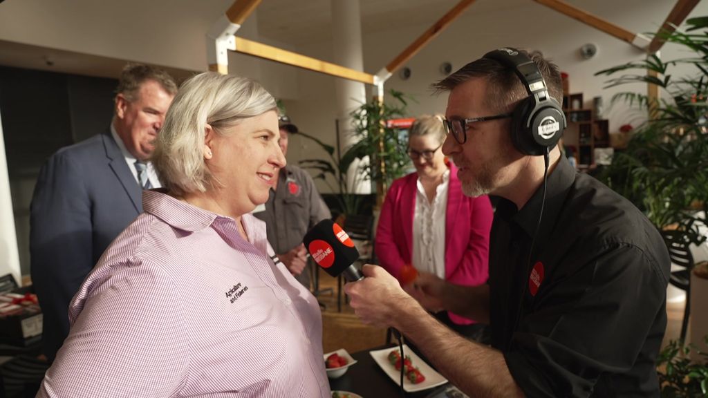 Principal plant breeder Dr Jodi Neal explains the traits of new ...