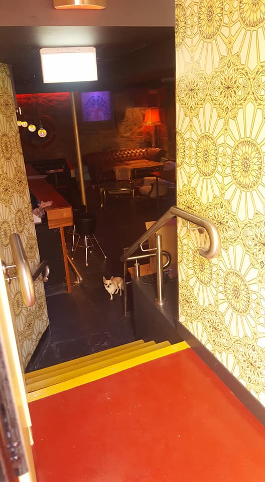 Pablo's bar shooting witness describes 'flames through the door ...