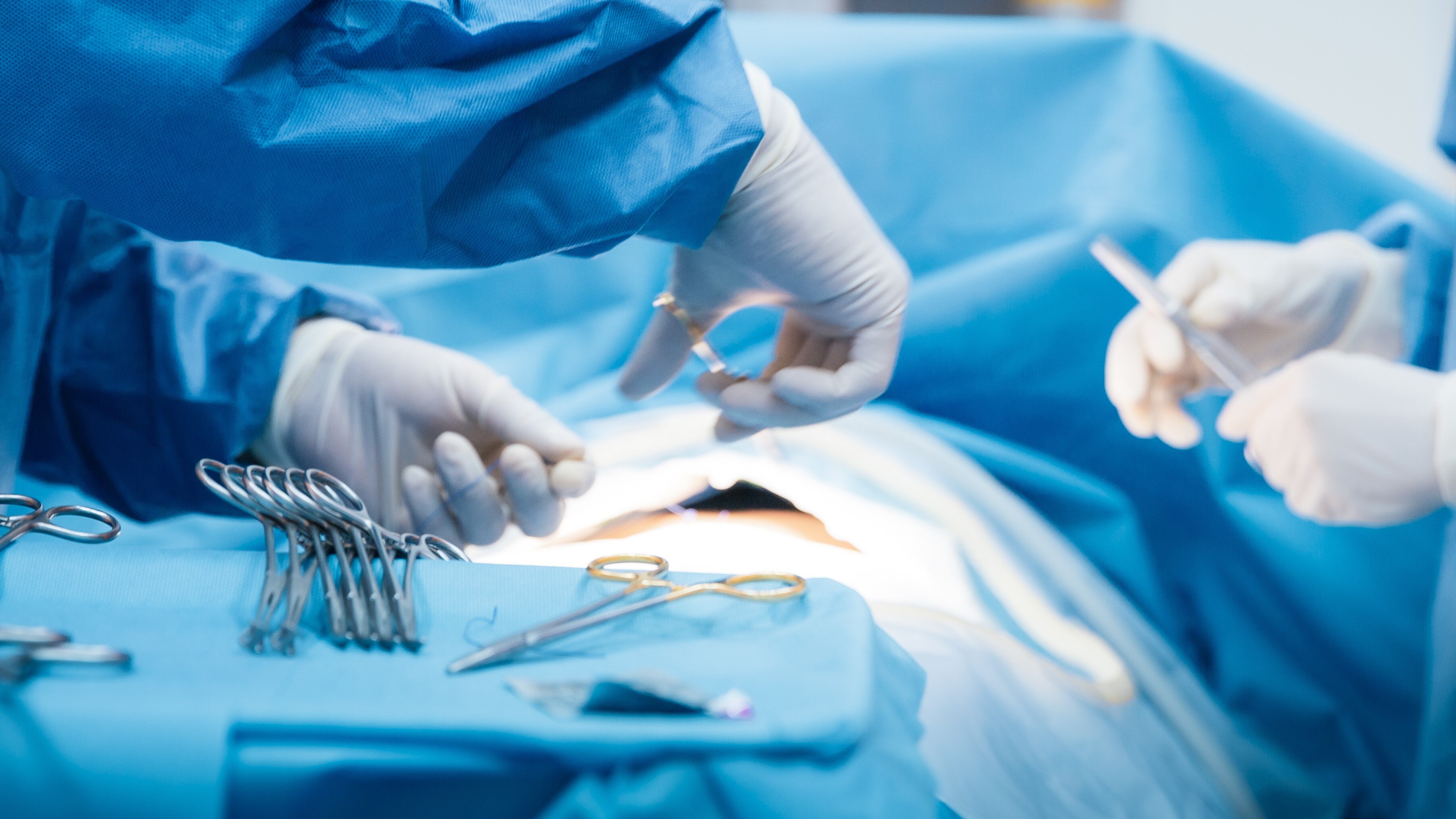 Celebrating Basic Rights Queensland - ABC listen