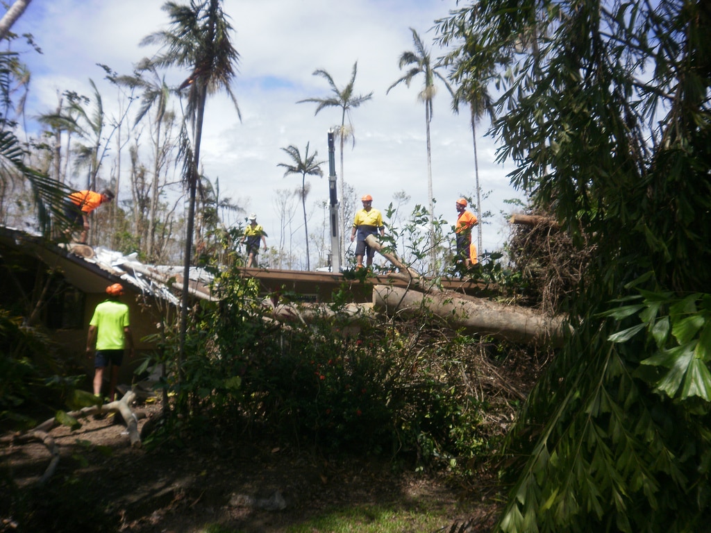 Surviving Yasi: in their words - ABC News