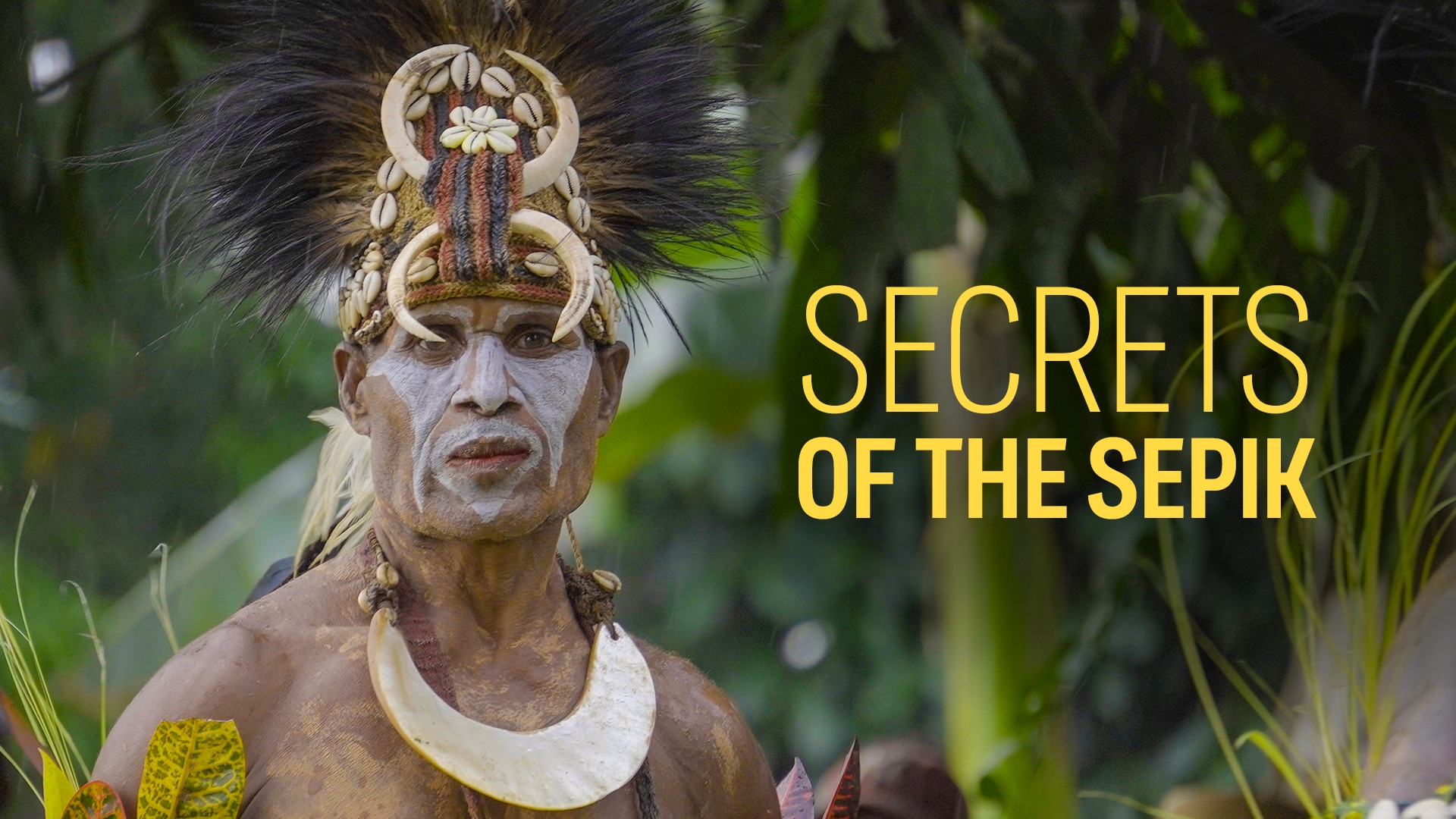 Secrets of the Sepik - ABC Content Sales