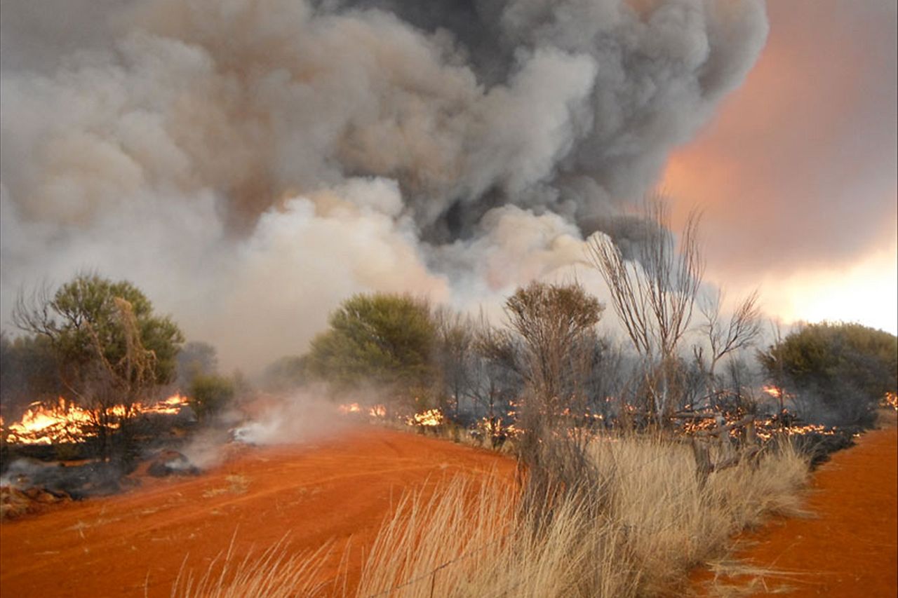 Fire severity maps soon to be online for northern Australia - ABC News