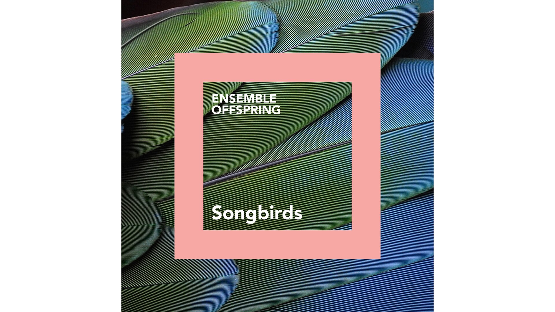 Ensemble Offspring - Songbirds - ABC Music