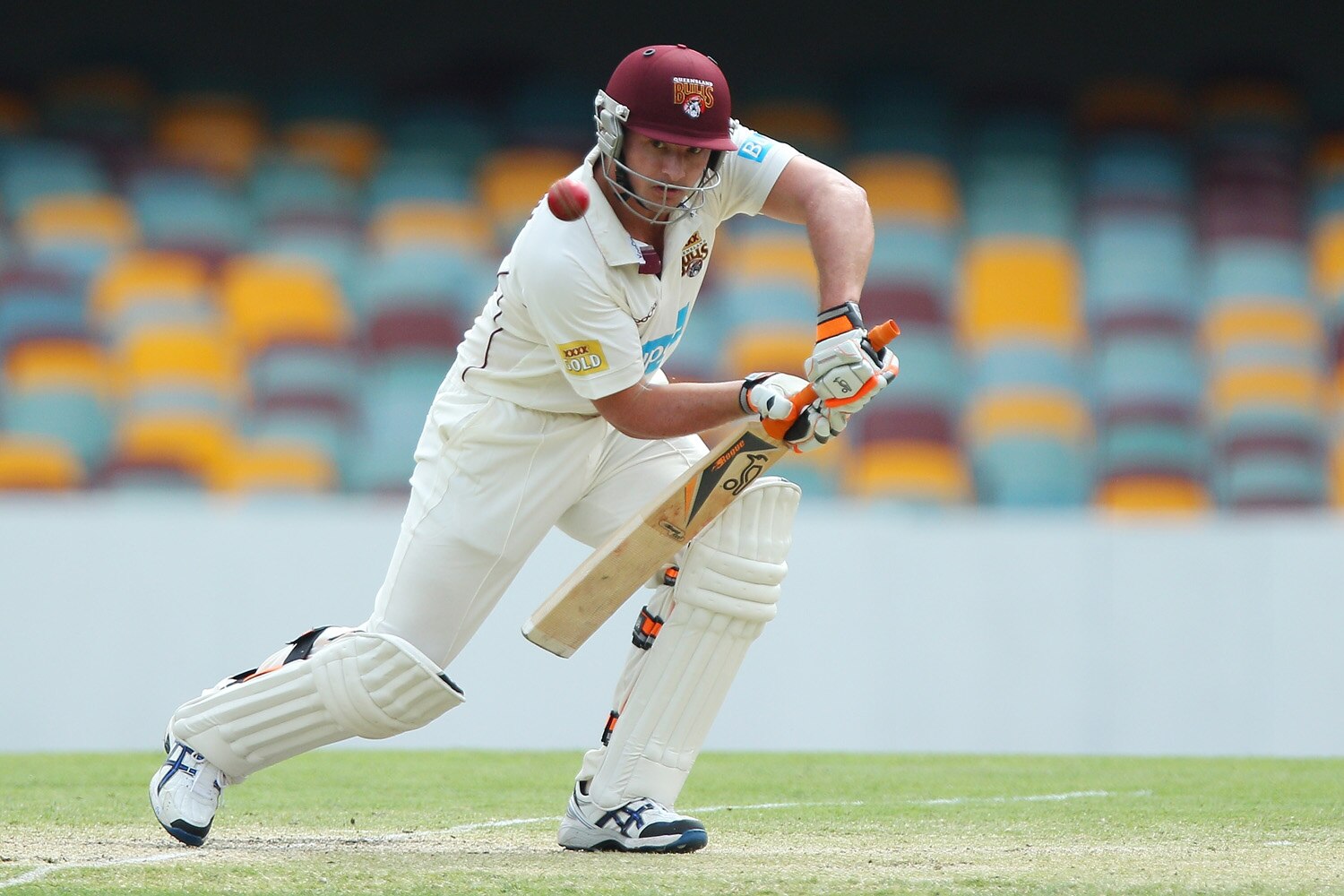 Clarke backs Forrest for Test honours - ABC News