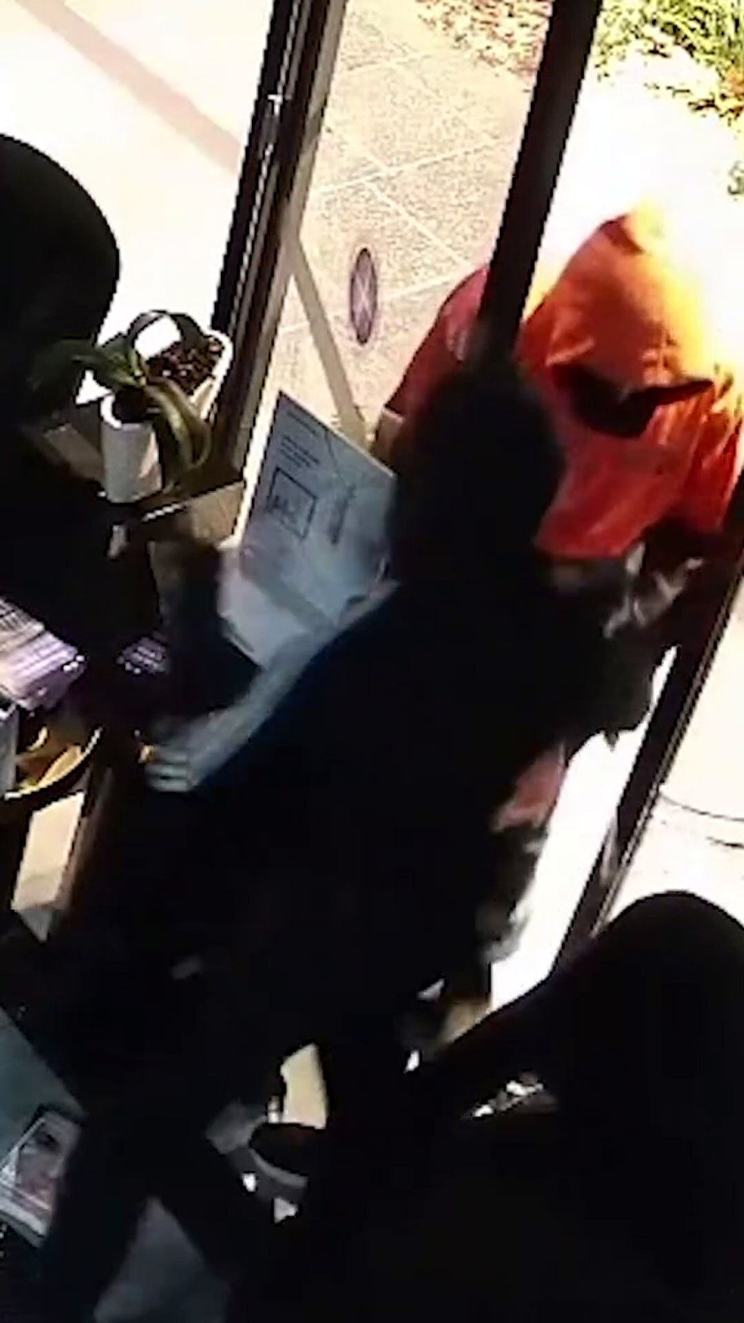 Police hunt 'idiot amateurs' after salon arson backfires - ABC News