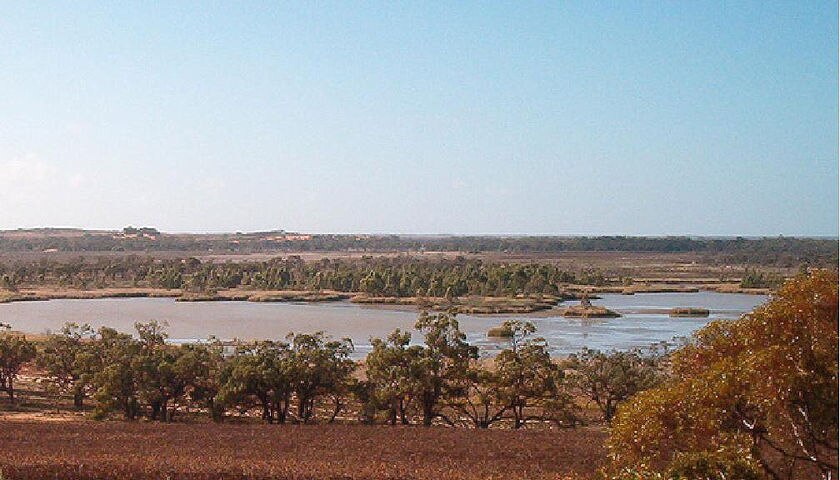 SA tourism operators recognised - ABC News