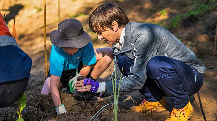 Planting pocket-forests in urban areas - ABC listen