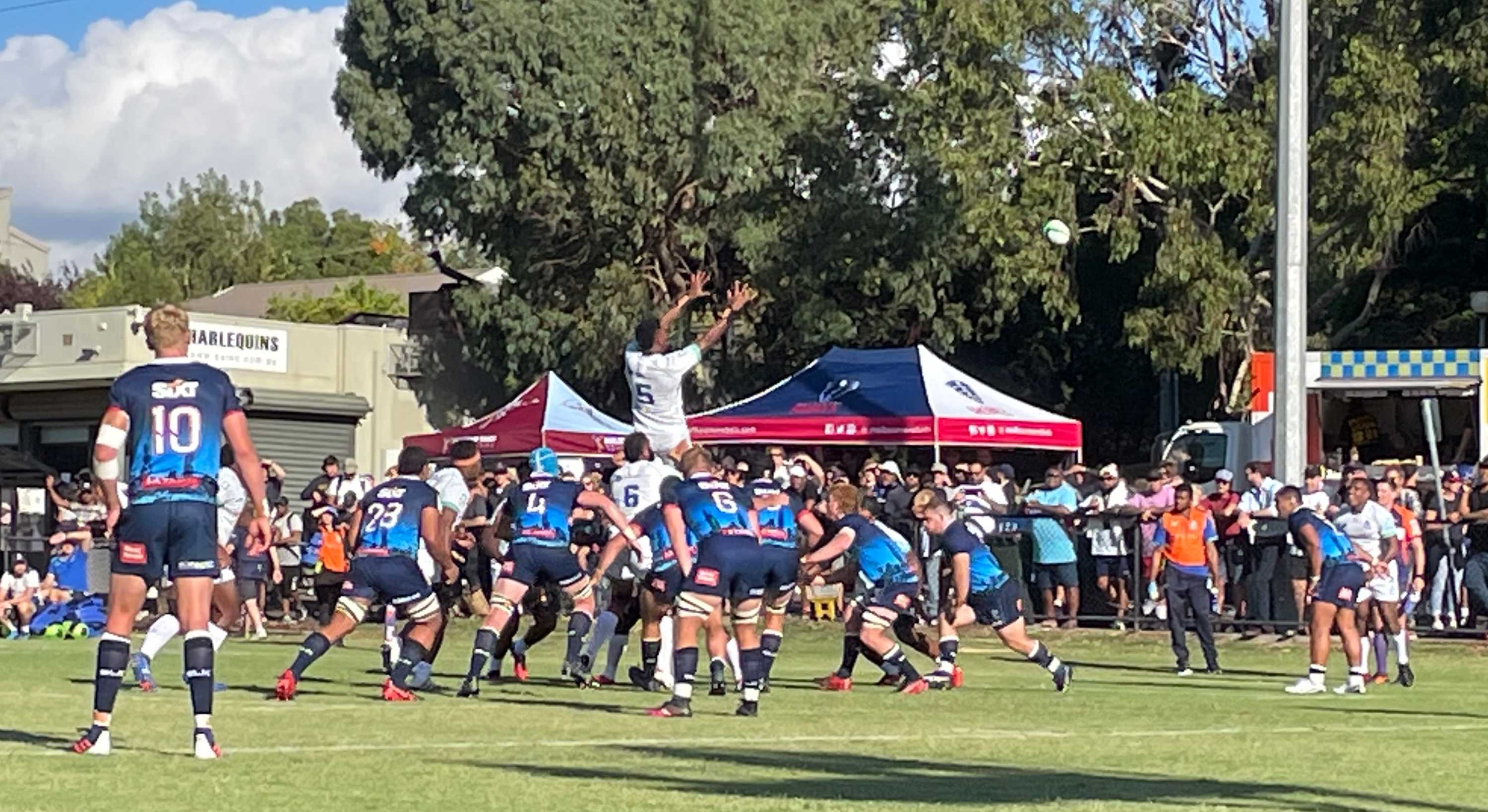 Plotting a safe & successful path for Pacific players keen to build ...