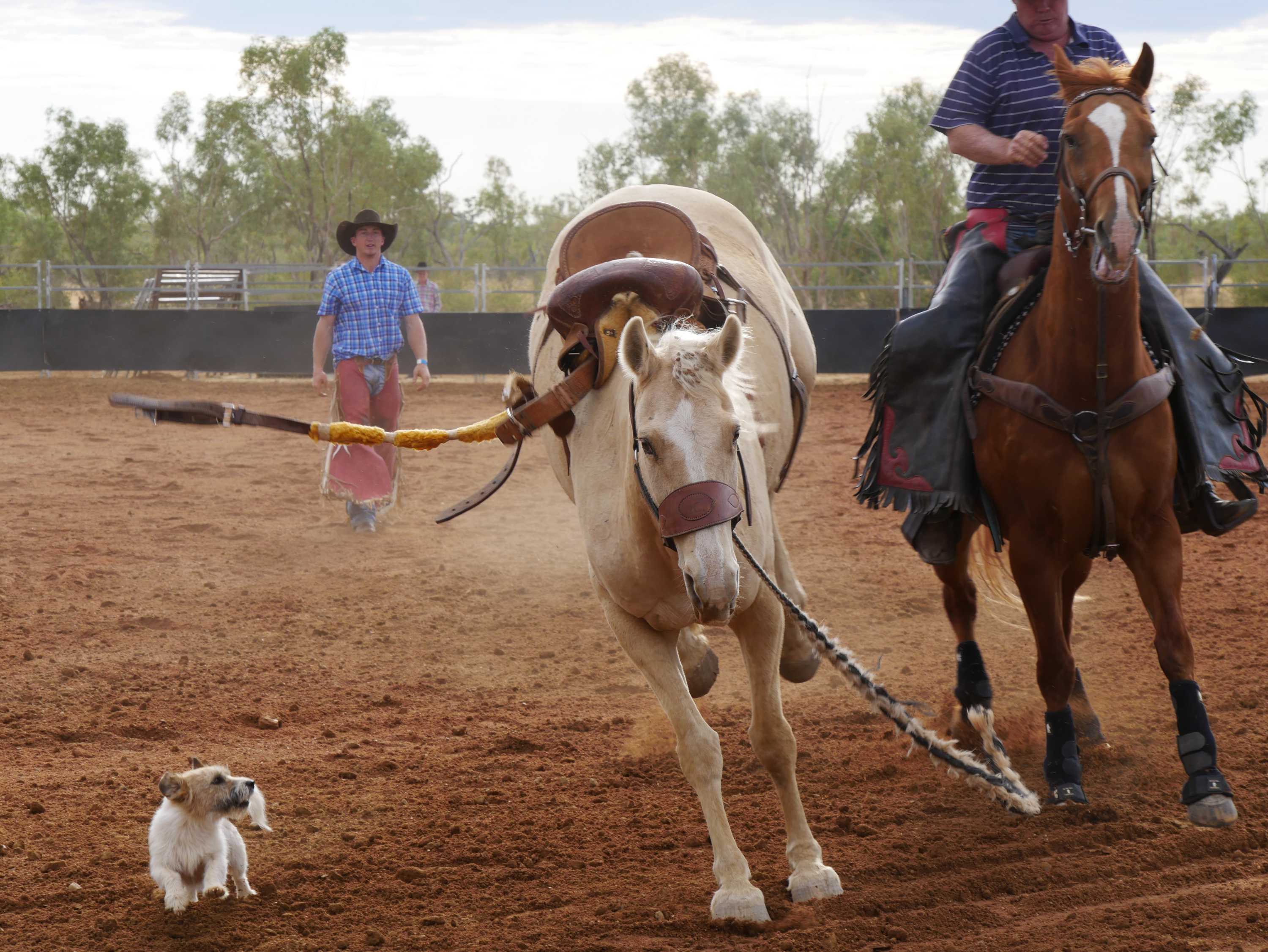 More outback events to go ahead after successful Yelvertoft rodeo and ...