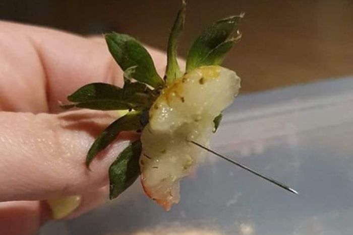 Muncul Lagi Kasus Jarum Dalam Stroberi Di Australia - ABC News