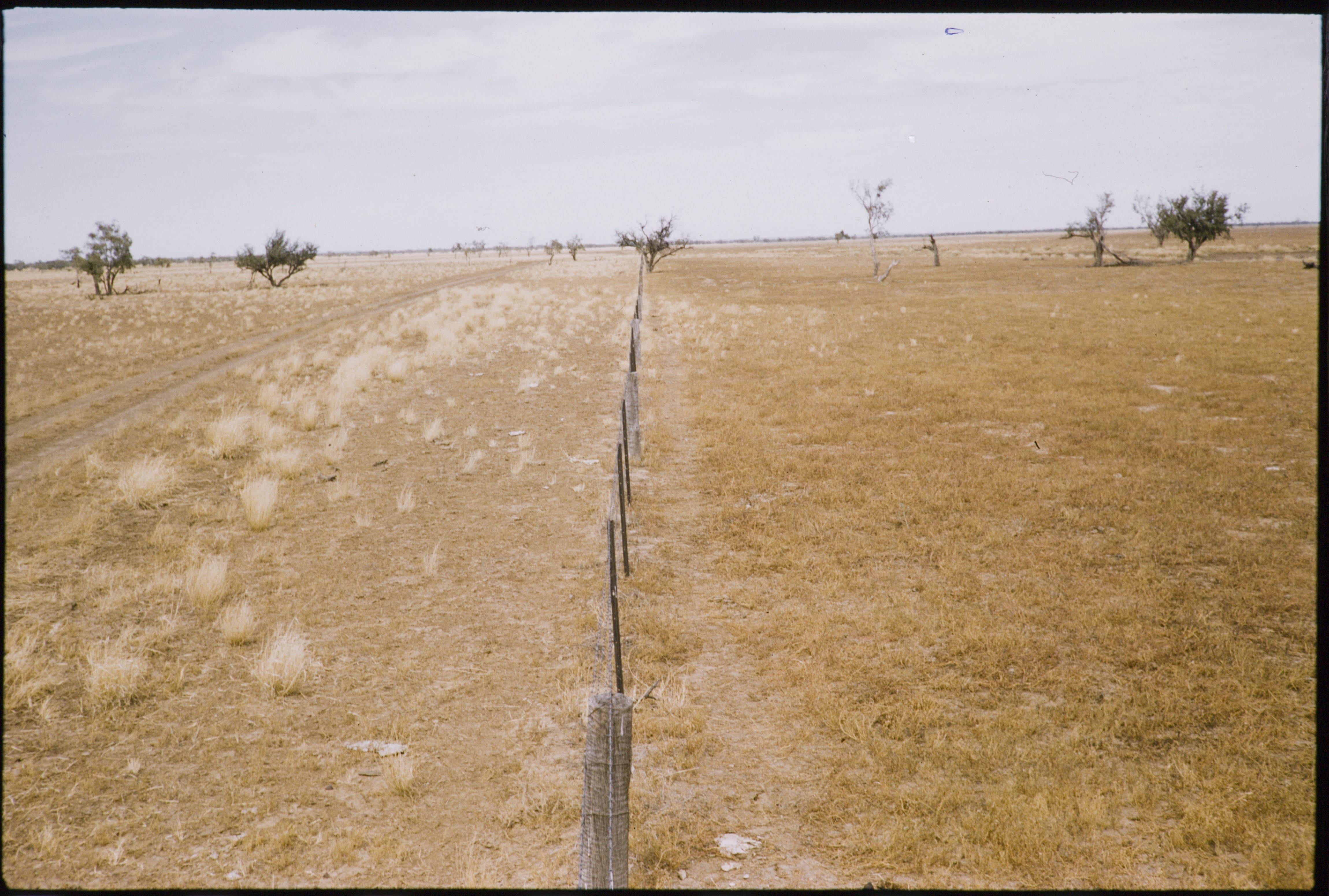 First Nations people were given names like Bing Crosby, Stalin and ...