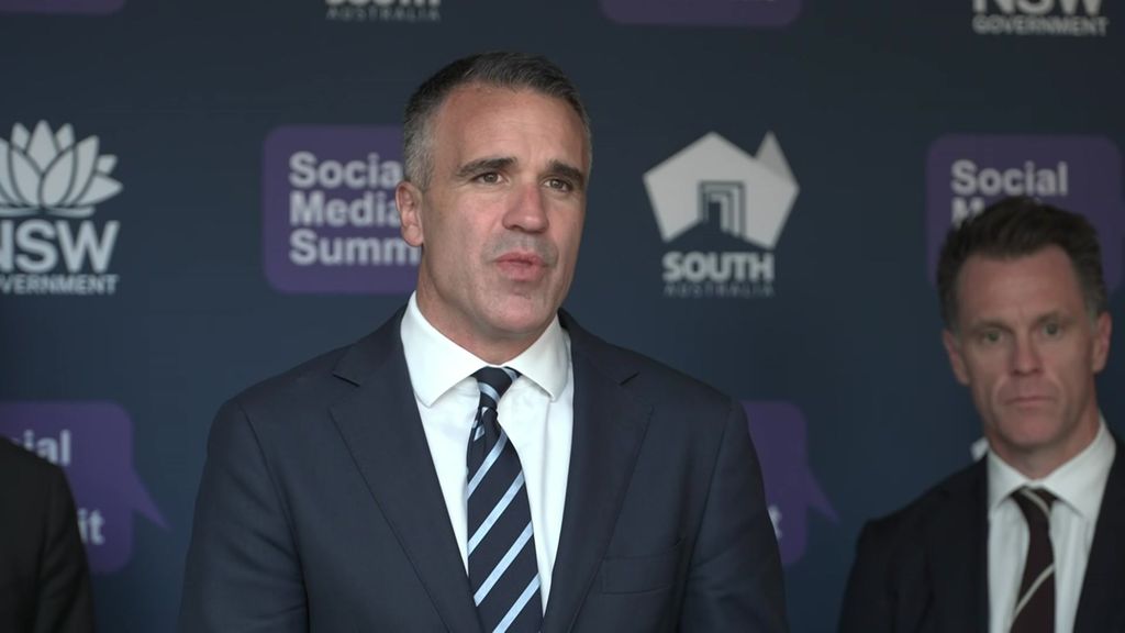 South Australian premier announces statewide school program - ABC News