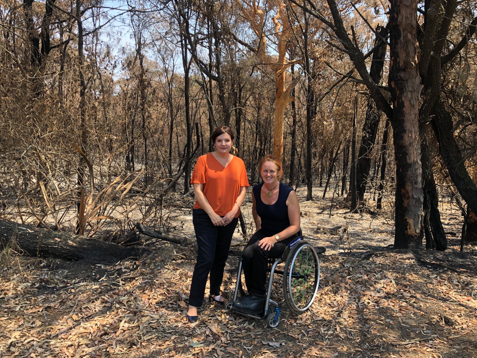 NSW ICAC handed report into bushfire grants, as opposition scrutinise ...