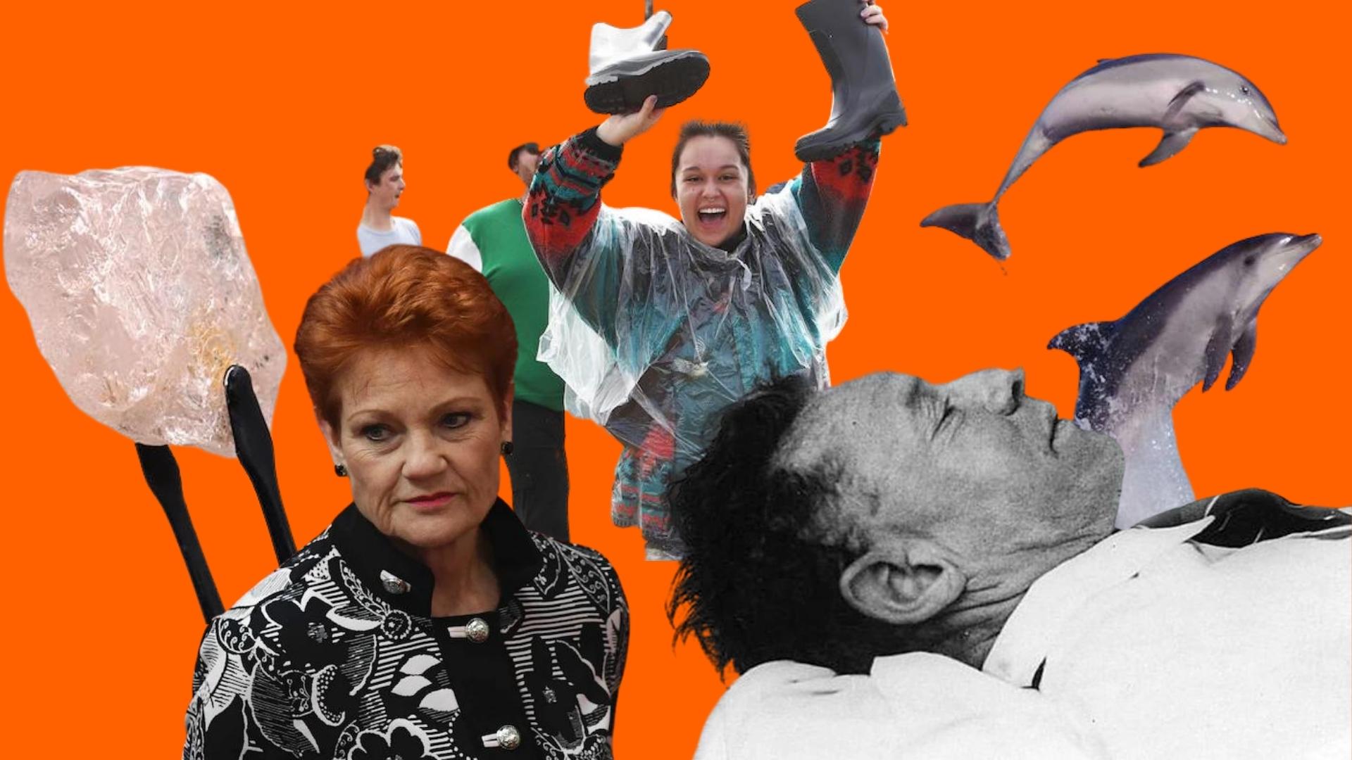 From decades-old mysteries to dolphins and diamonds — will you shine in ...