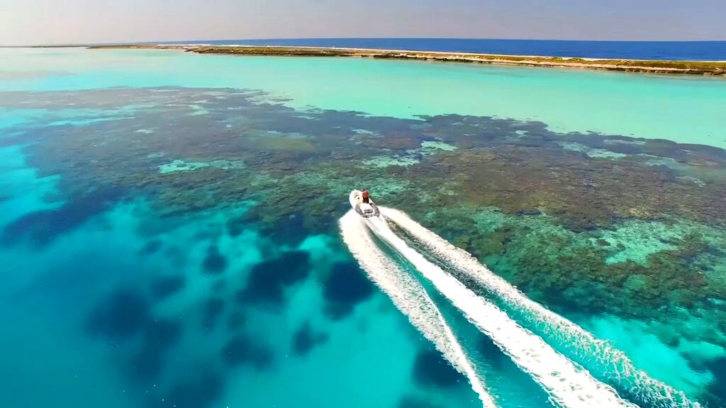 Fish Futures - ABC News