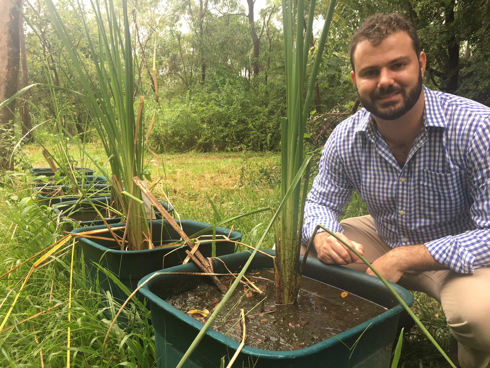 Darwin inventor turning manure into fertiliser, with aim of solving ...