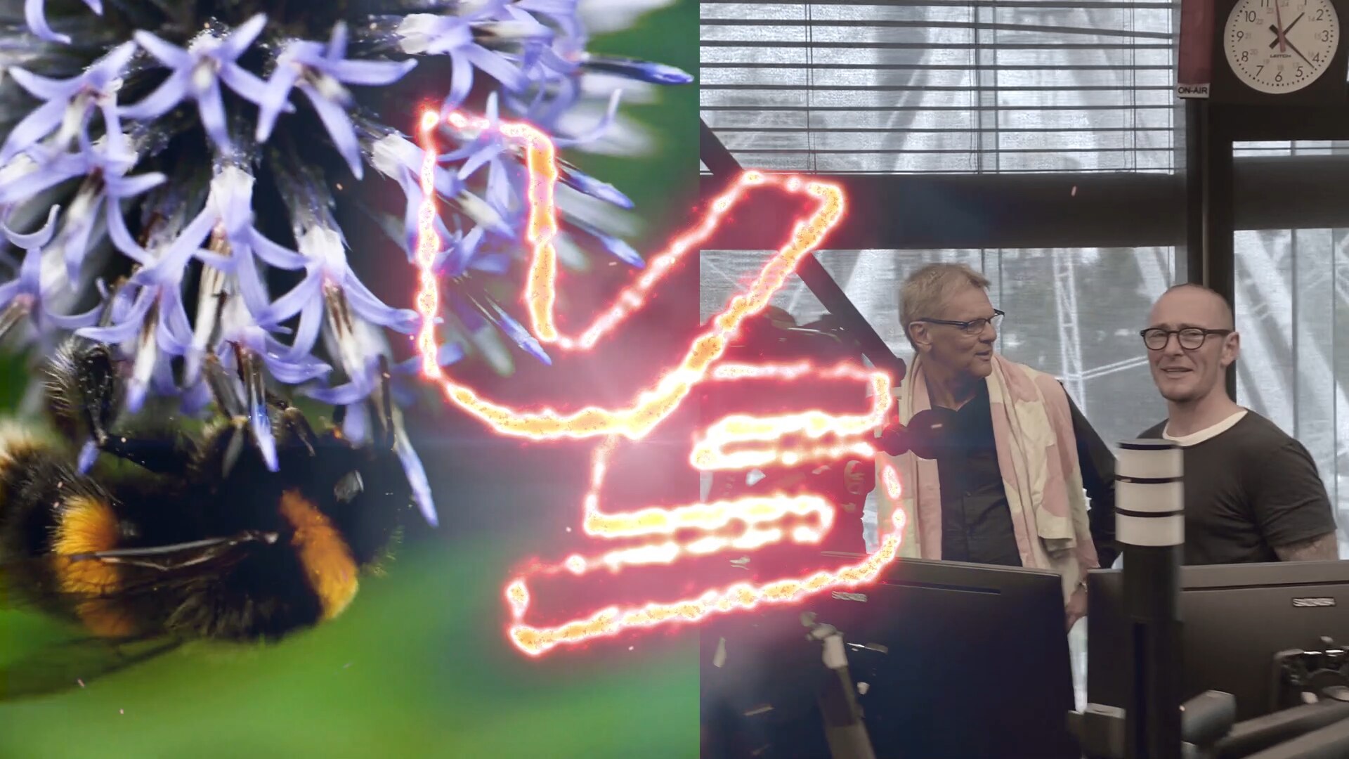 Cardio Classics: The Bumblebee Challenge - ABC Classic