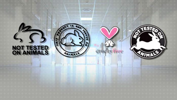 Animal Testing - Behind The News