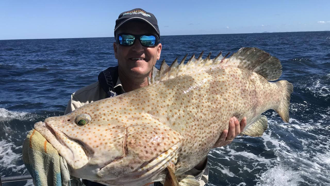 The Big Fish - ABC listen