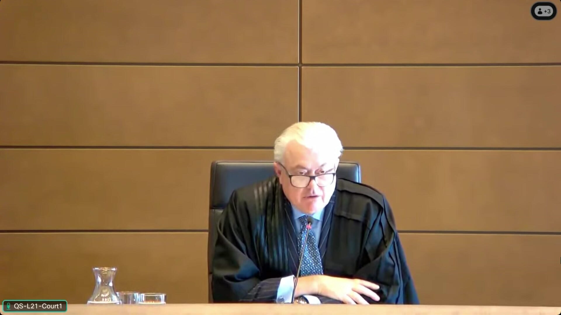 Judge says Brittany Higgins's untruths were 'organised' - ABC News