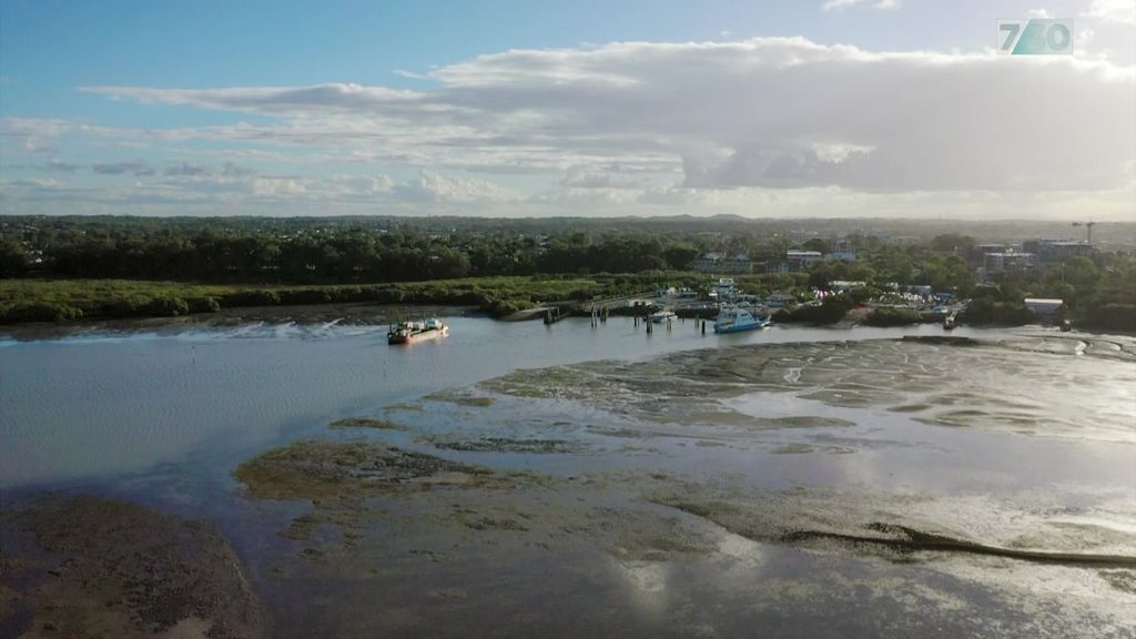 Proposed development on protected wetlands at Toondah Harbour raises ...