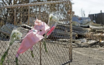 Profiting from disaster - ABC News