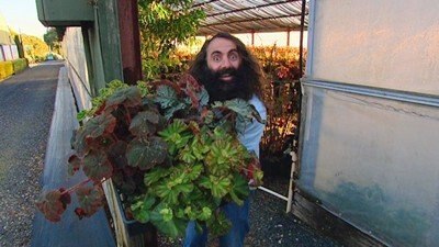 An Unusual Crop - Gardening Australia