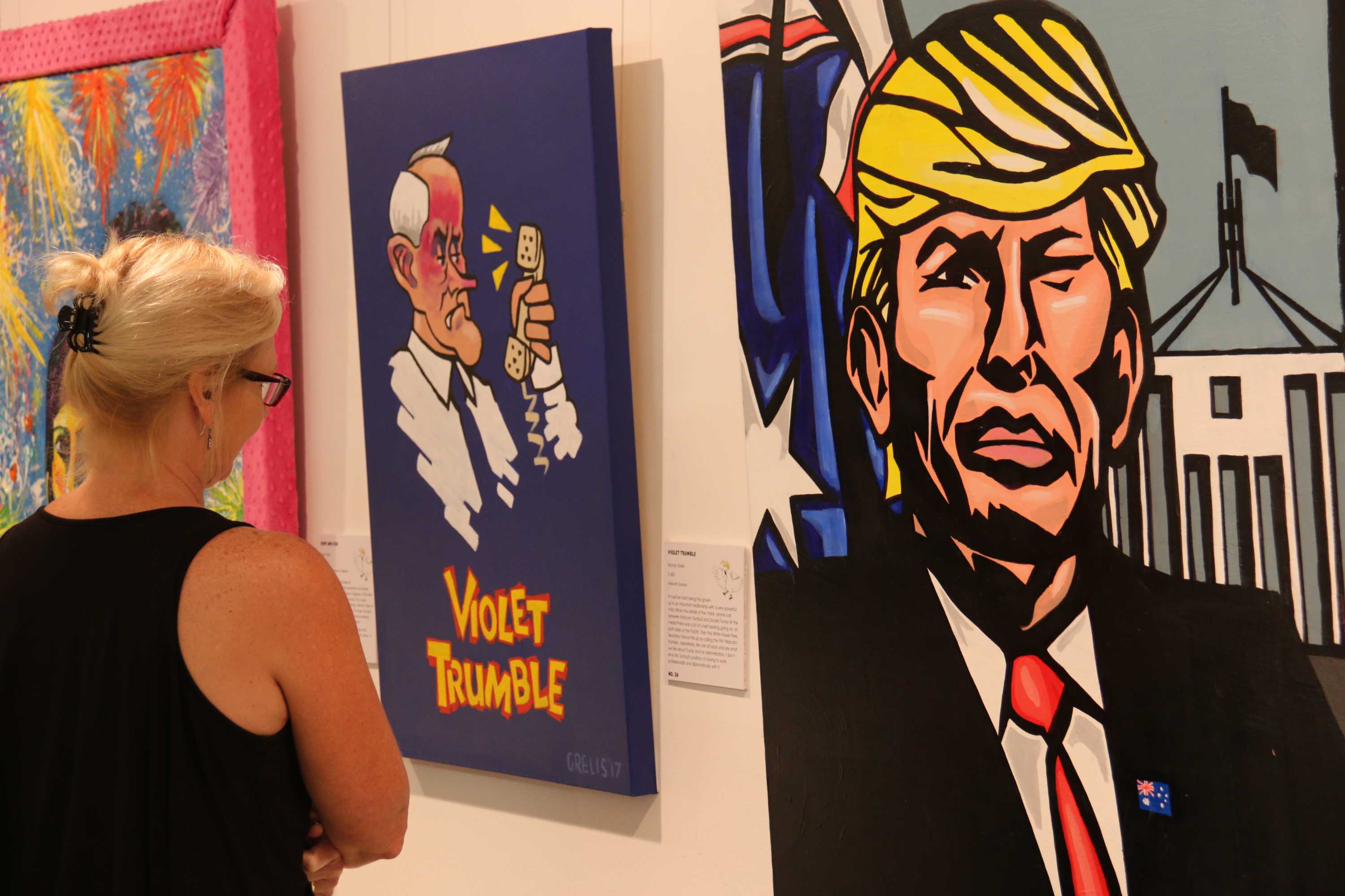 Bald Archy Prize: Pauline Hanson dominates entries in art show poking ...