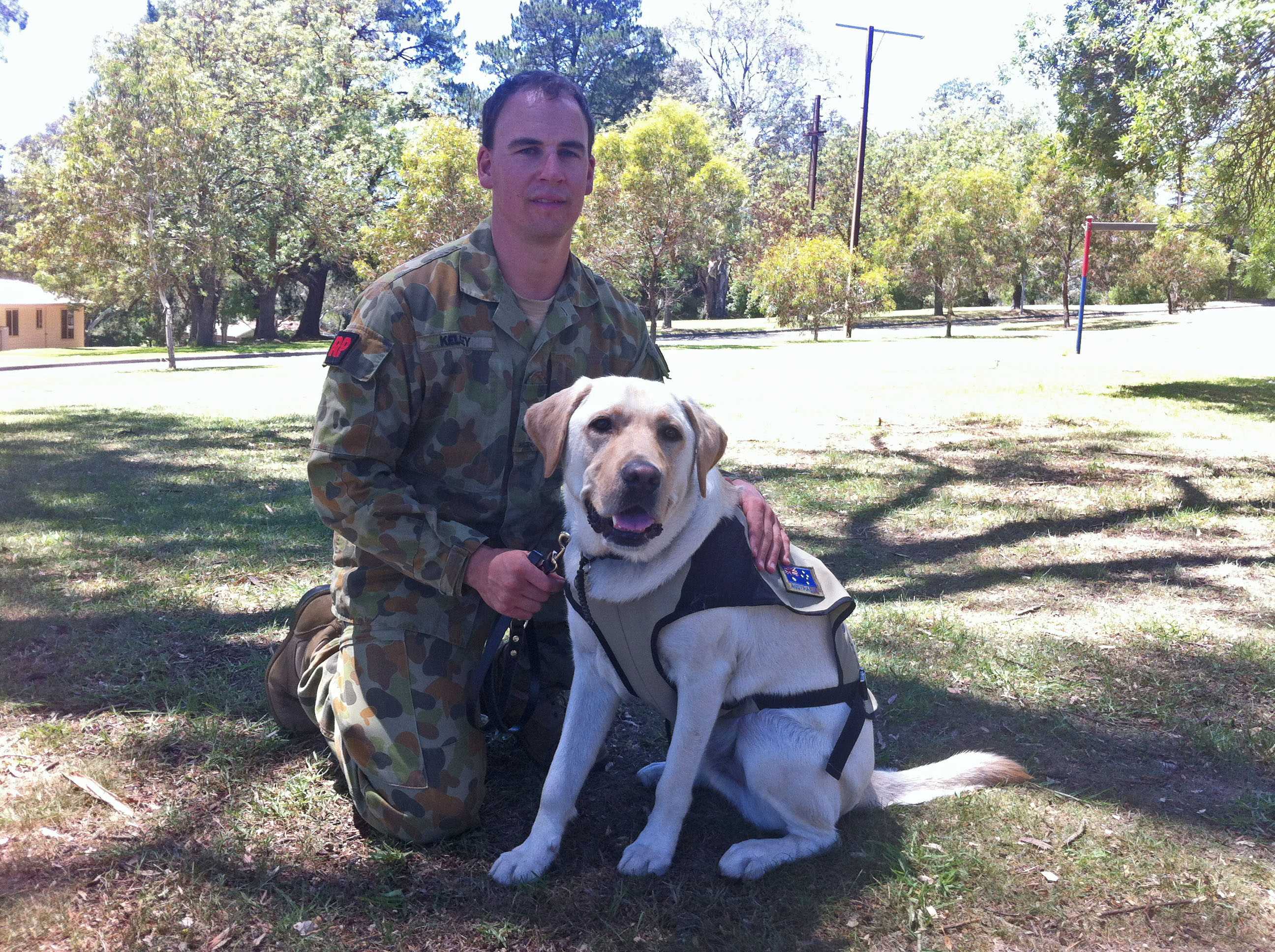 Murray the assistance dog Labrador enlisted in the Australian Army ...