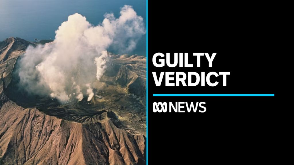 Whakaari Management Limited found guilty over White Island disaster ...