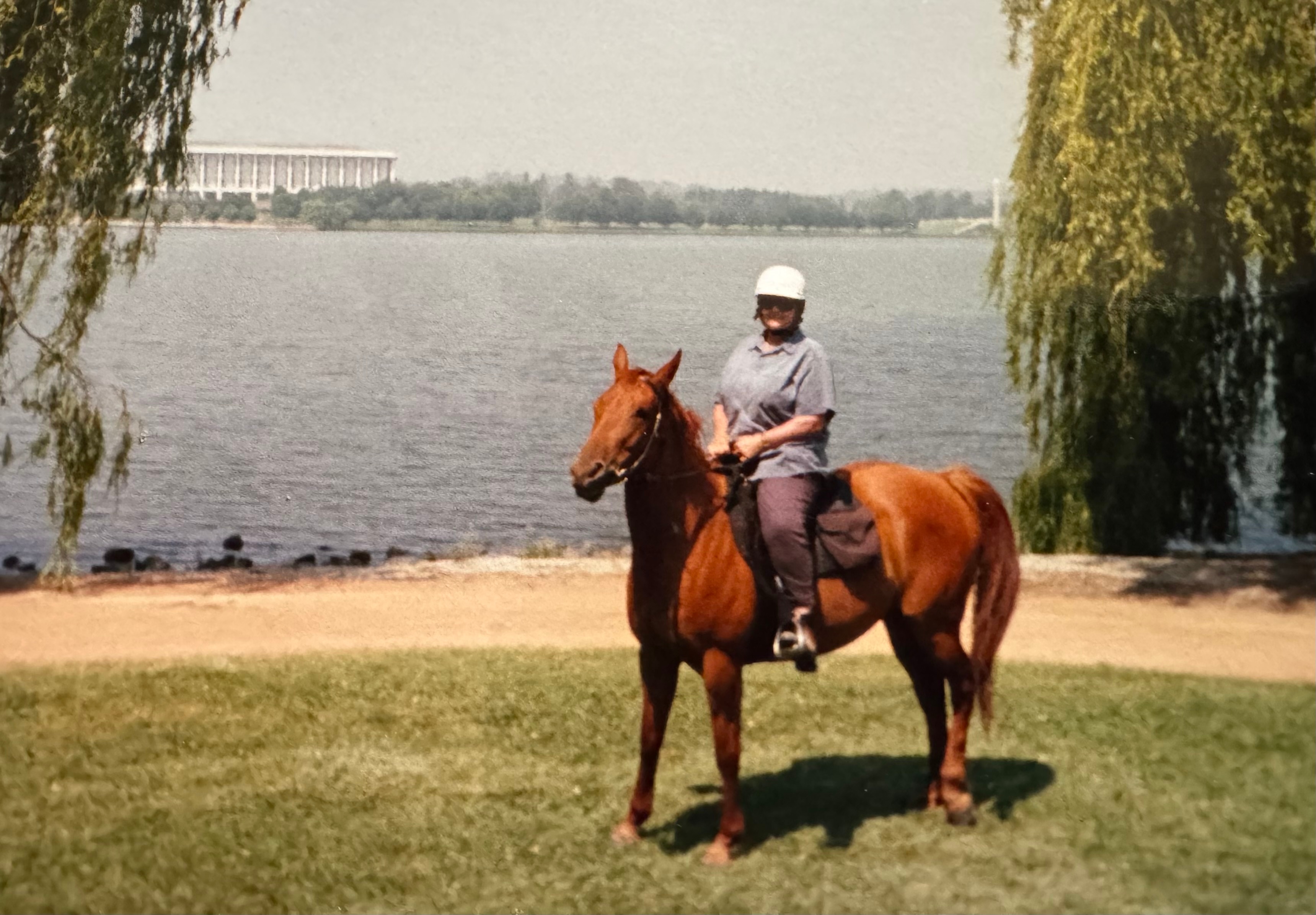 Lessons learnt from the 2003 Canberra firestorm for protecting horses ...