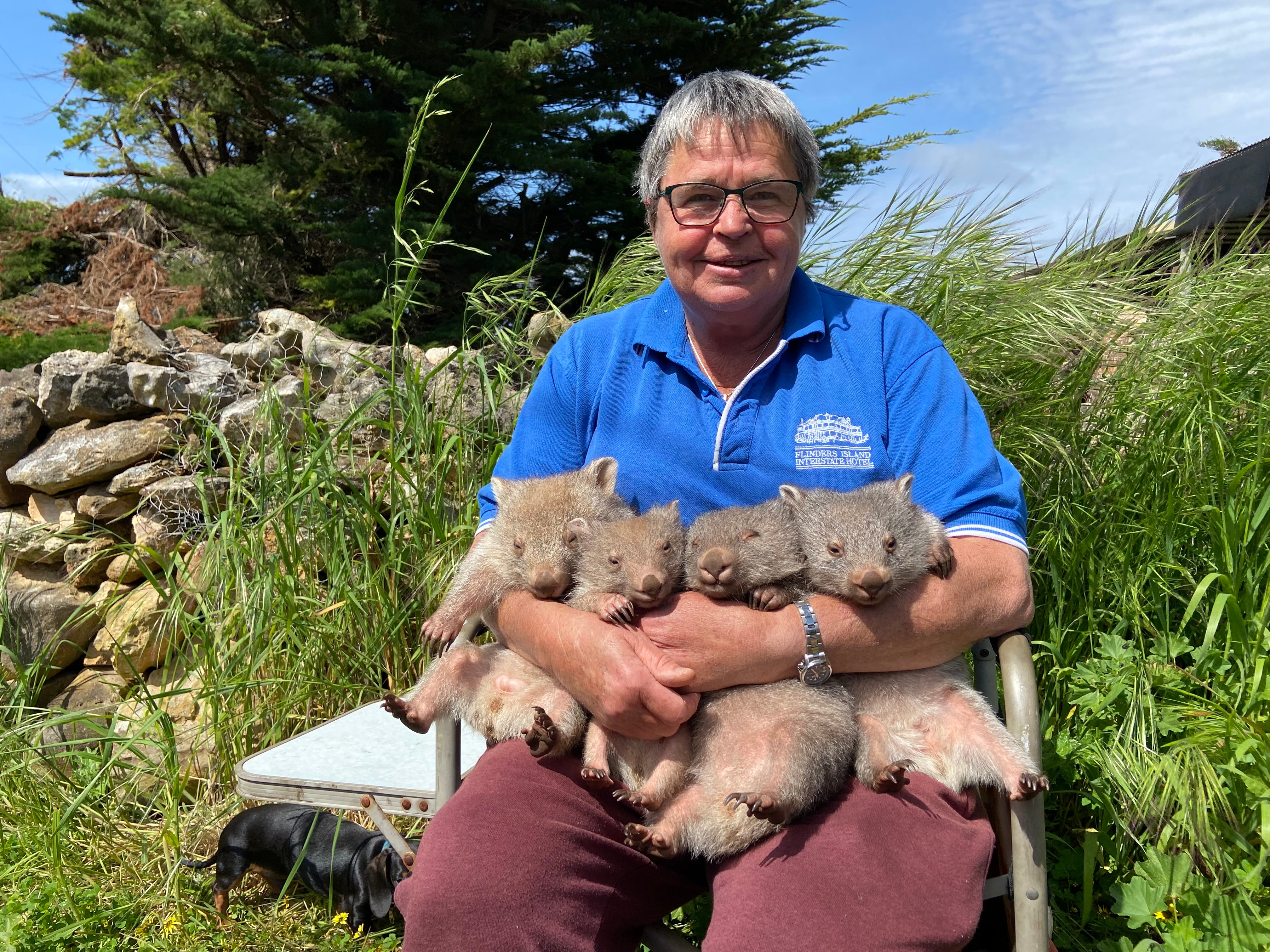Meet Kate Mooney, the Wombat Lady of Flinders - ABC listen