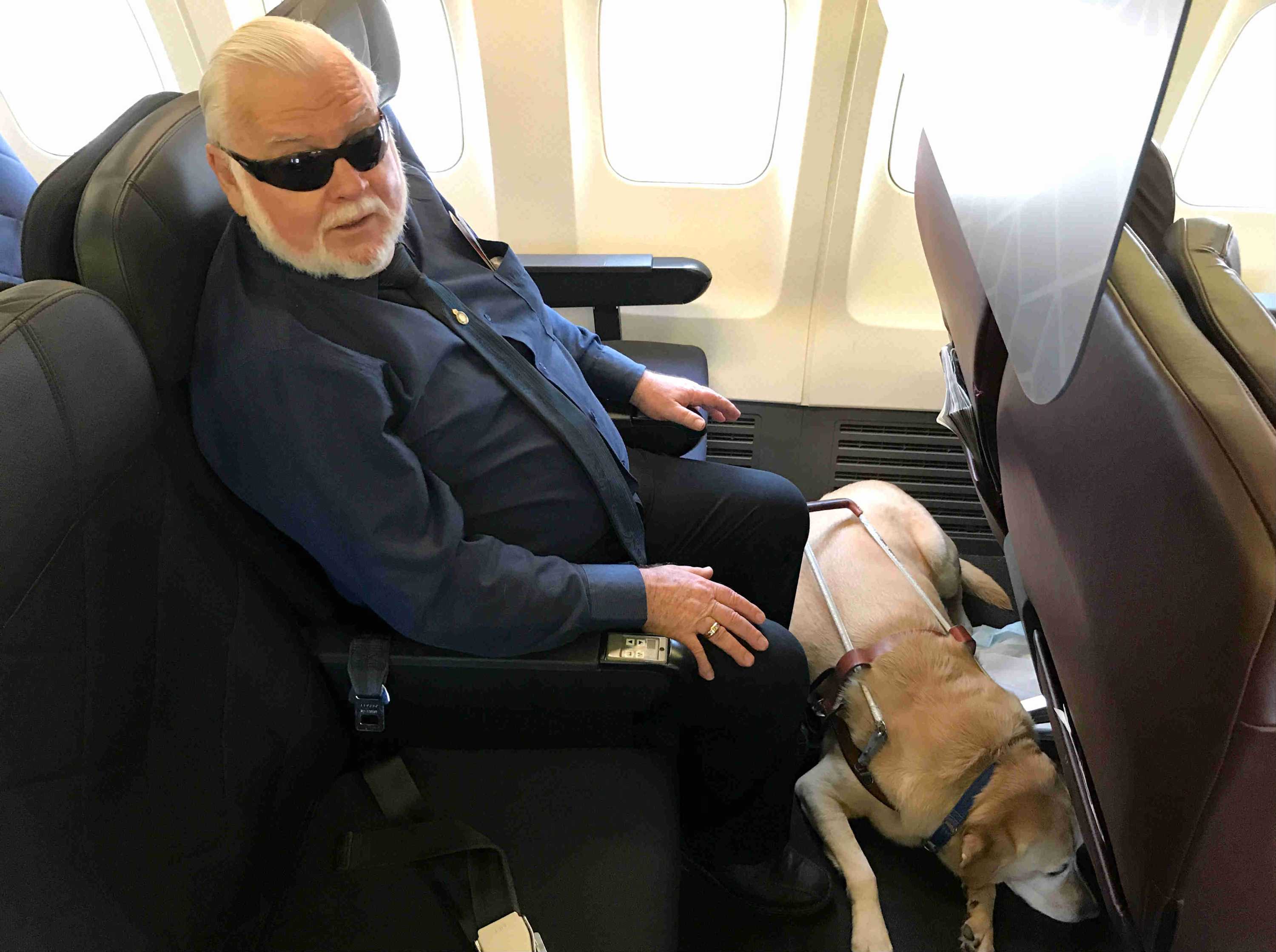 Guide dog Brogan catches record 300th flight with handler - ABC News