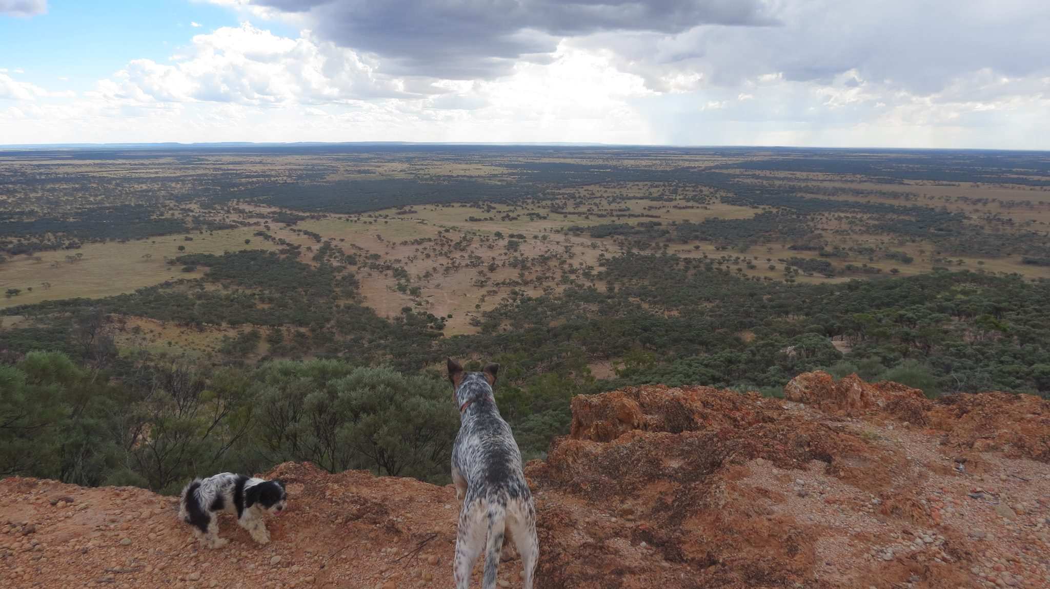 Drought-hit central western Queensland communities look to build ...