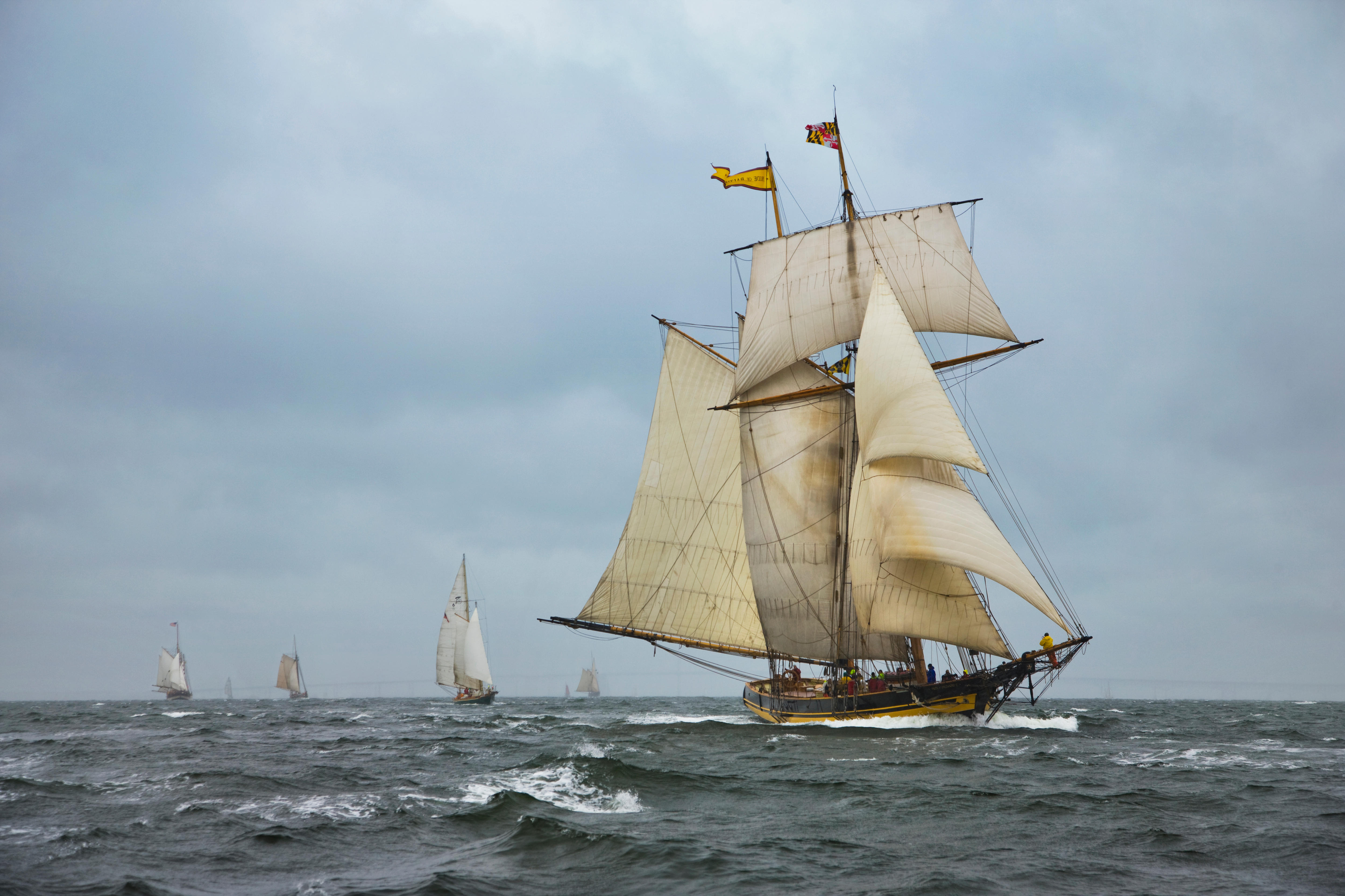 What is Upscrolled, Australia’s newest viral social media platform ...