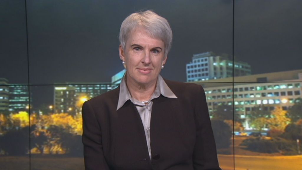 Interview with Diane Smith-Gander - ABC News