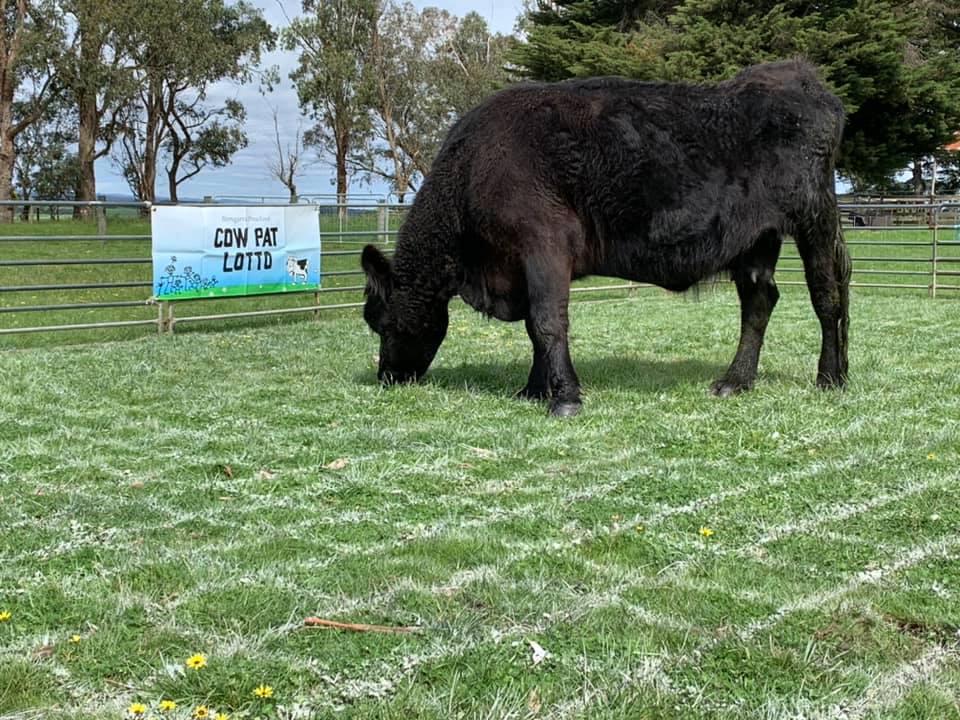 Victoria's Birregurra Preschool Centre raises more than $100k through ...