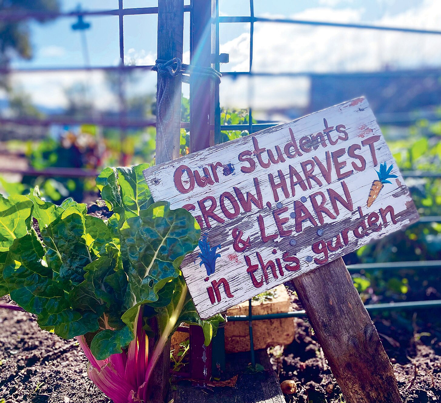 Culinary star Stephanie Alexander shares her tips and tricks