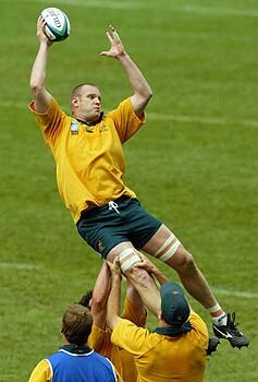 Son's illness forces Giffin out of Wallaby tour - ABC News