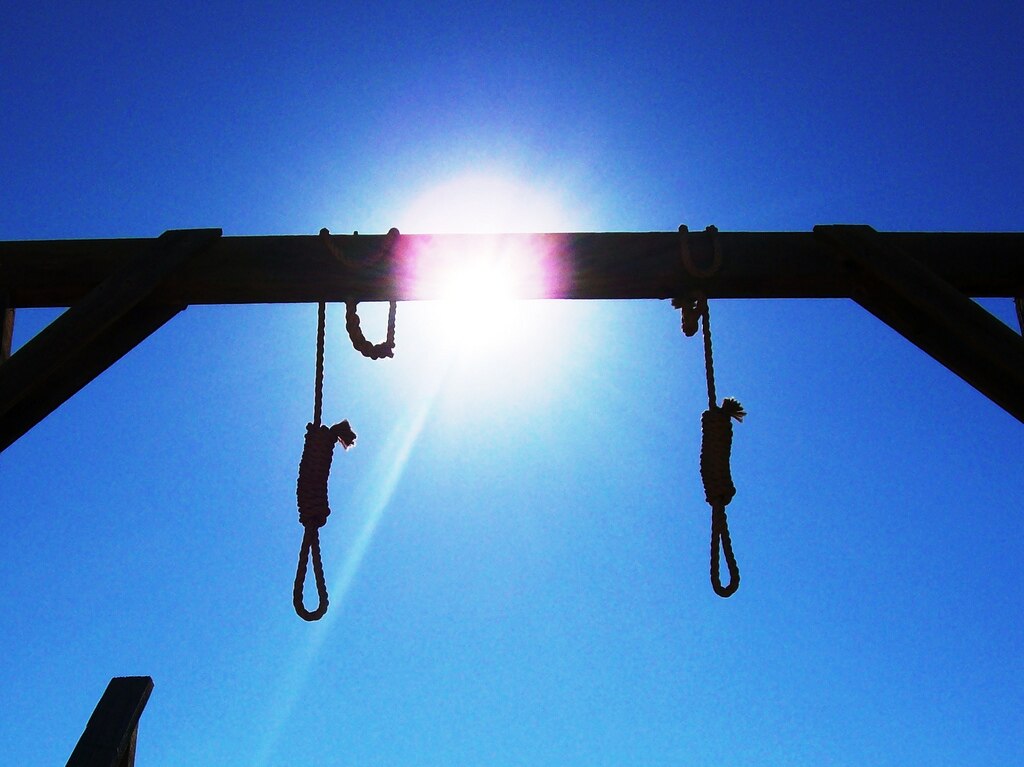 Rope The History of the Hanged - ABC listen