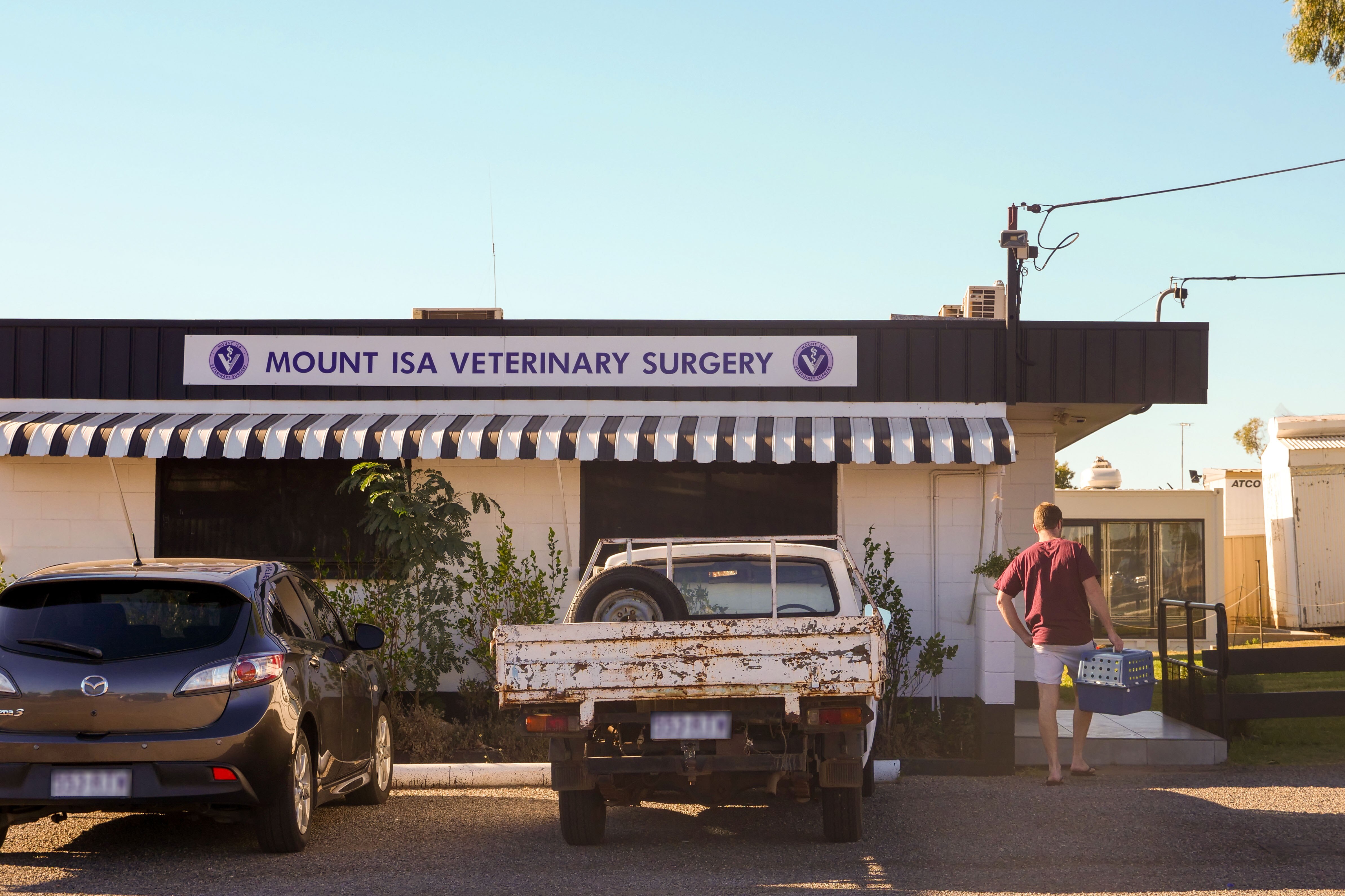 Veterinarians were added to Australia's priority migration list but the ...