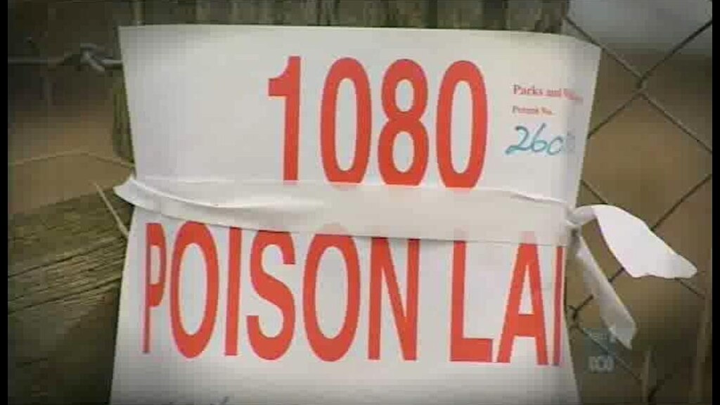 What's the best alternative to 1080 poison? - ABC News